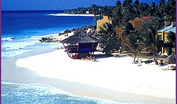 Tamarijn Beach Resort Aruba Packages