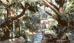 Mirage Las Vegas Packages