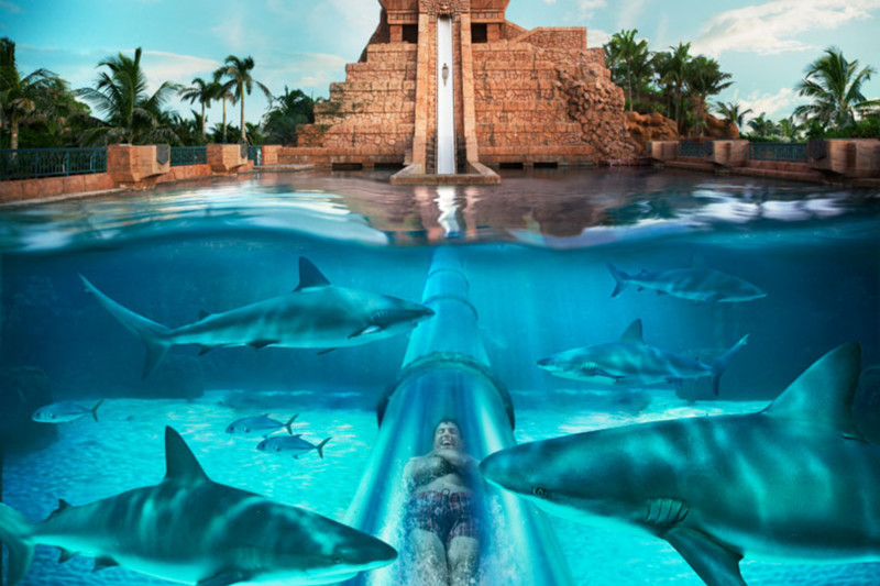 The Cove Atlantis Nassau Packages