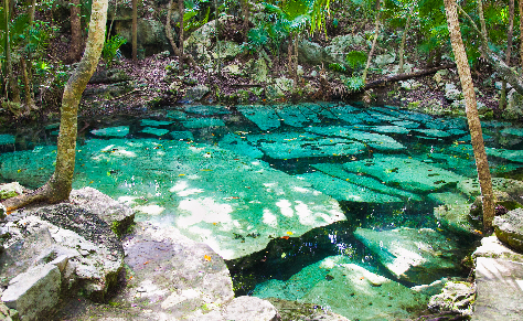 tripcentral.ca ™ - Vacations and Cruises for Canadians